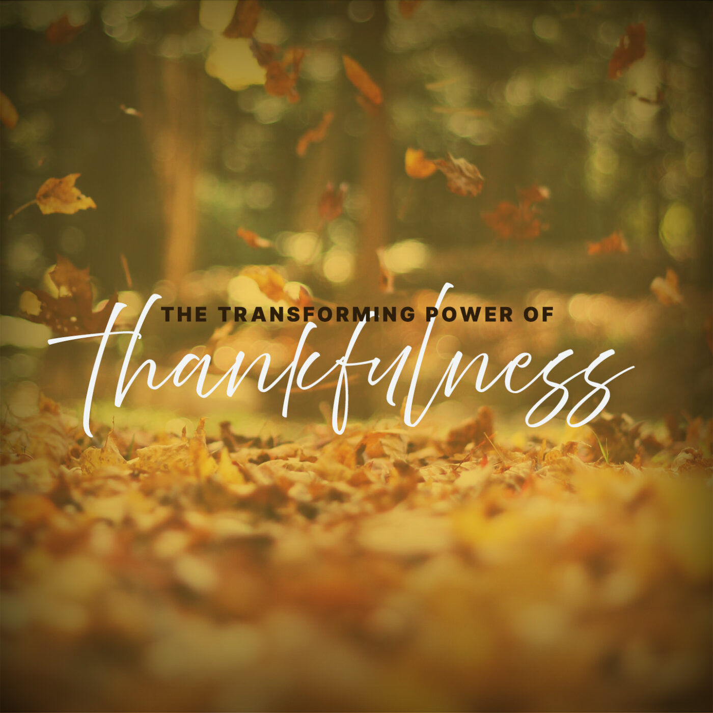 The Transforming Power of Thankfulness - LifePoint Church in Greenville, SC